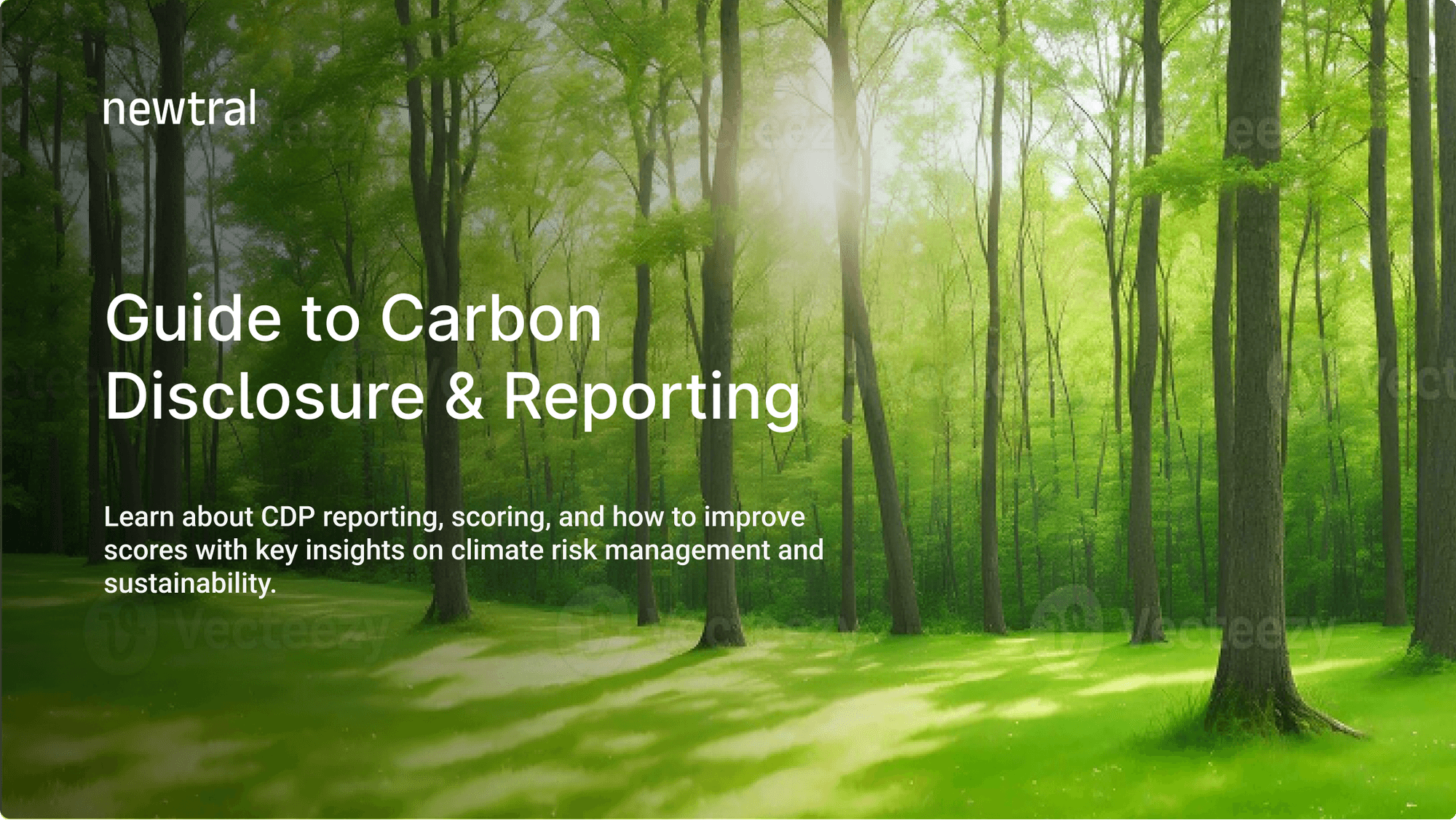 CDP Simplified | A Comprehensive Guide to the Carbon Disclosure Project